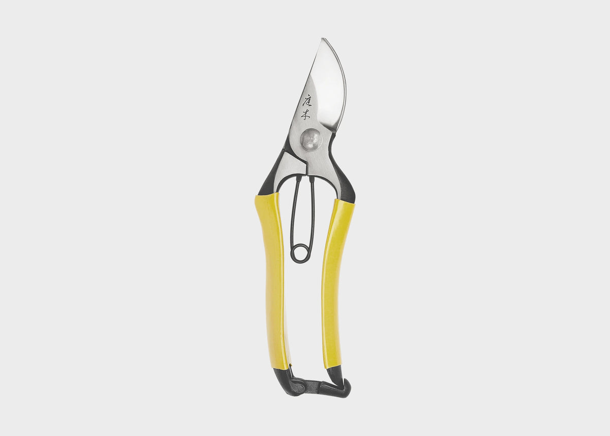 japeto secateurs