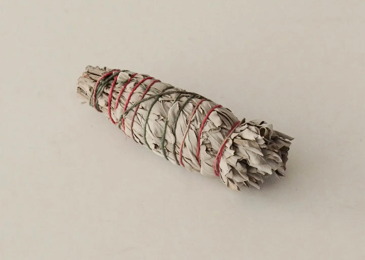 Organic White Sage Smudging Stick – Woodland Mod